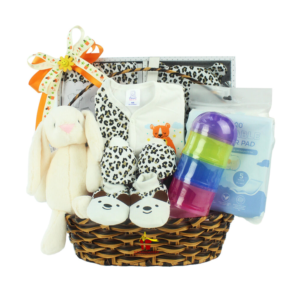 Newborn Welcome Gift Basket | Baby Hamper | Nurhampers Gifts
